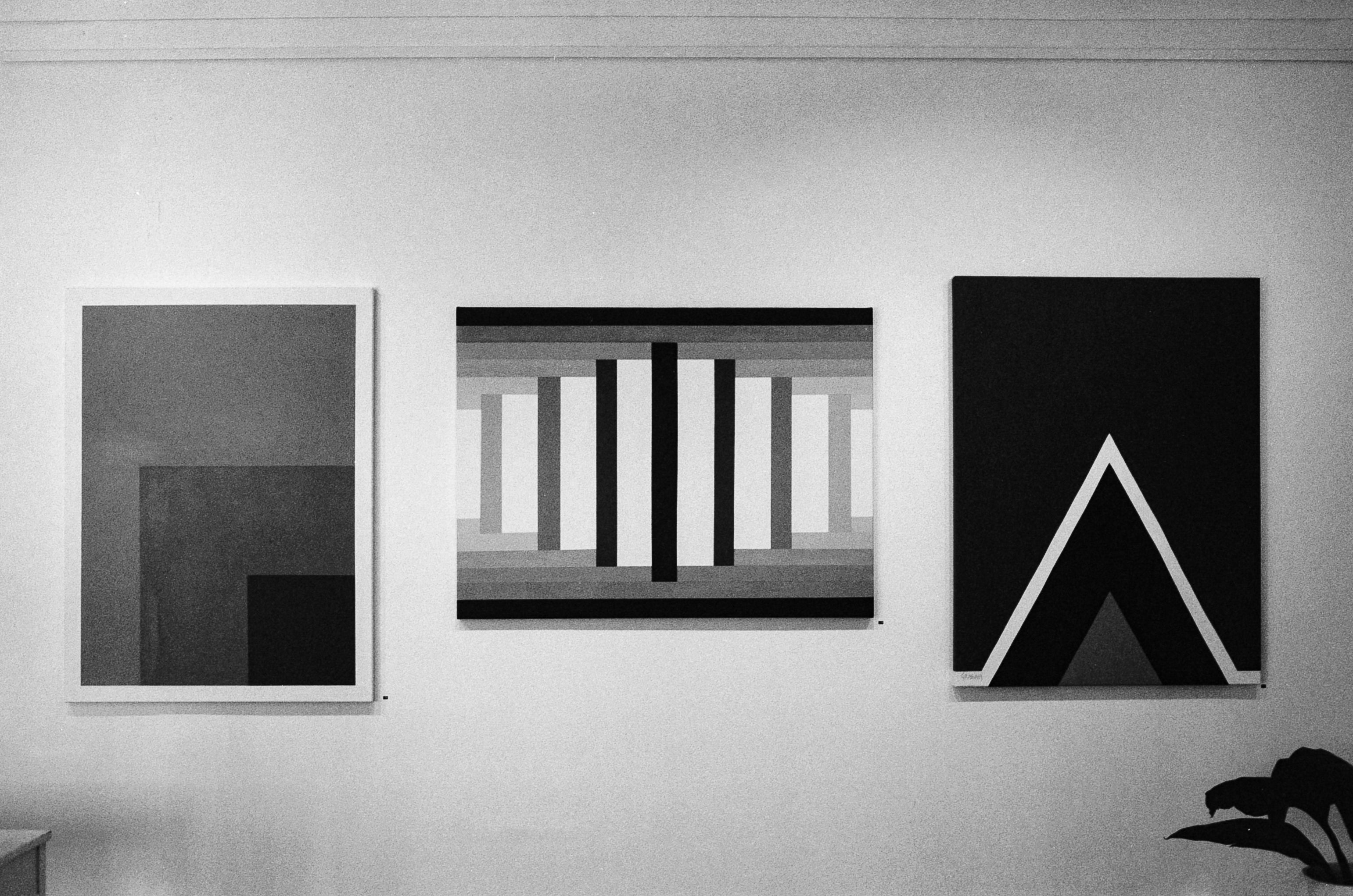 Graham Eldrige – wester.gallery